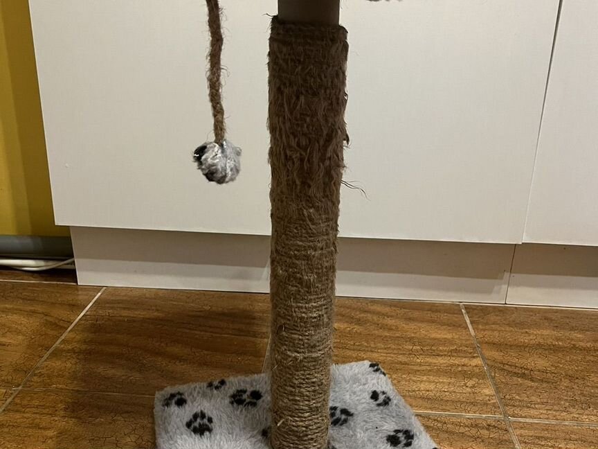 Когтеточка бу