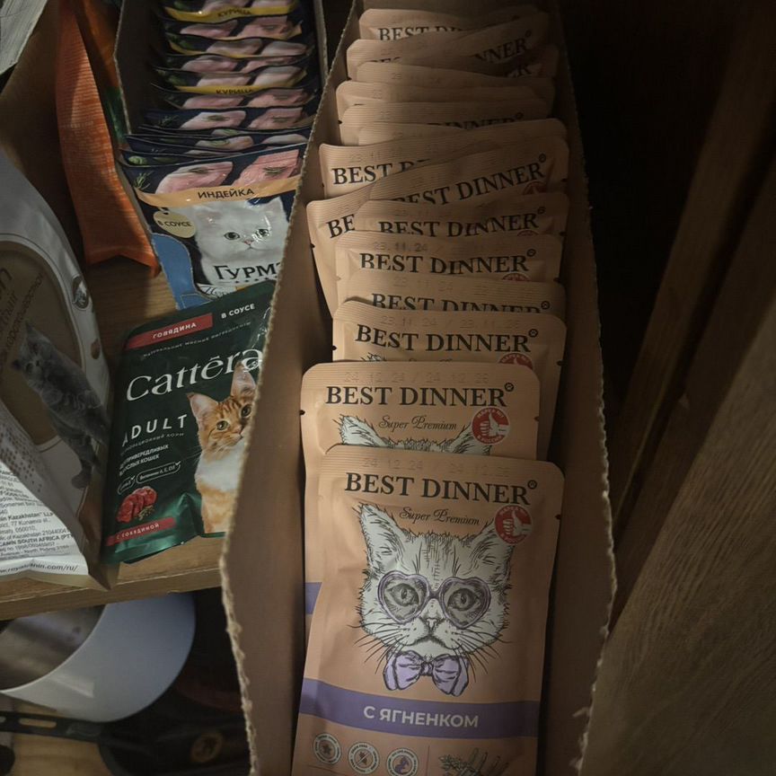 Влажный корм для кошек best dinner