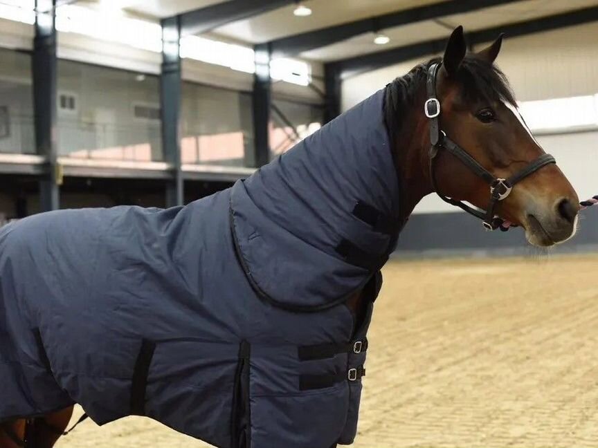 Зимняя попона для лошади 125