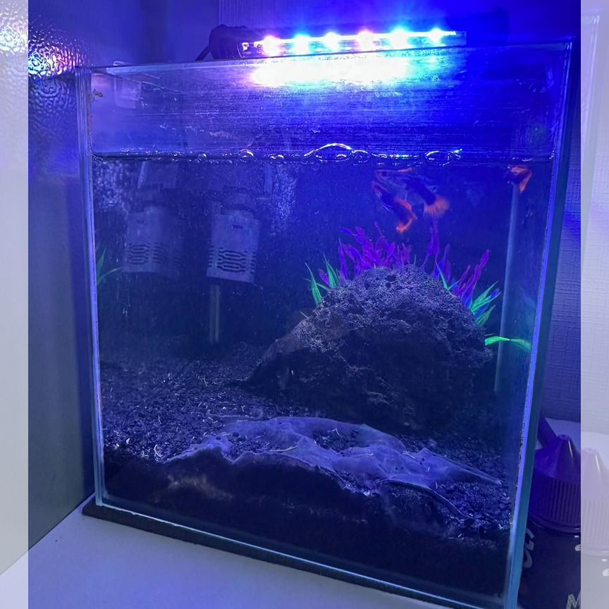 Аквариум с рыбками