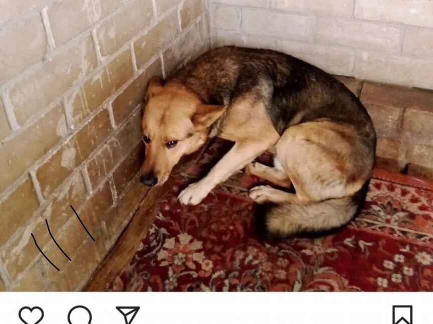 Спасите мальчика от смерти