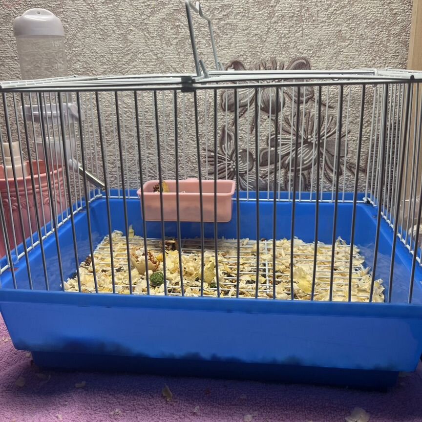 Клетка для грызунов