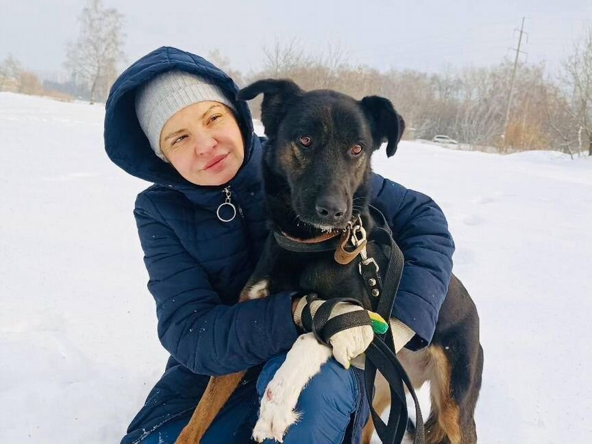 Собака в семью с детьми и животными бесплатно