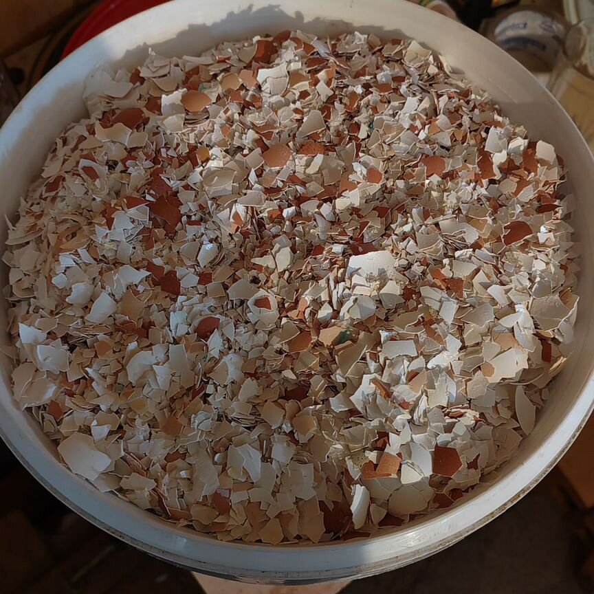 Скорлупа от яйц