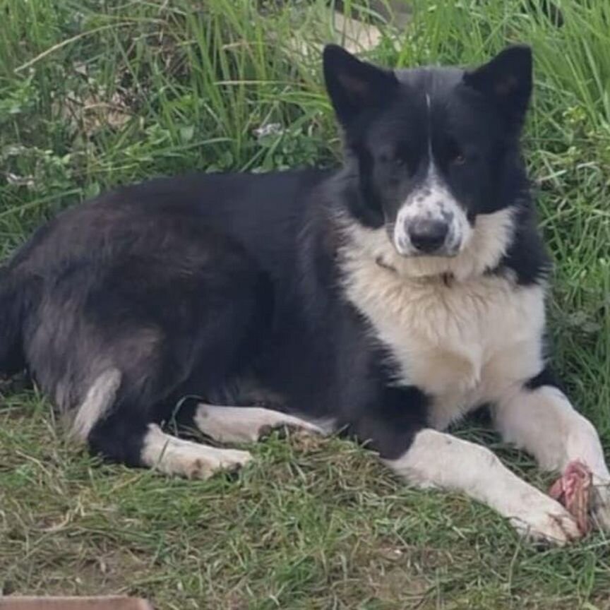 Девочка 1.5 года осталась без хозяина