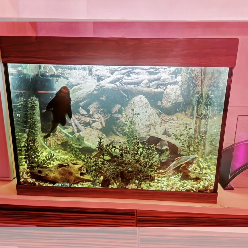 Аквариум с рыбками