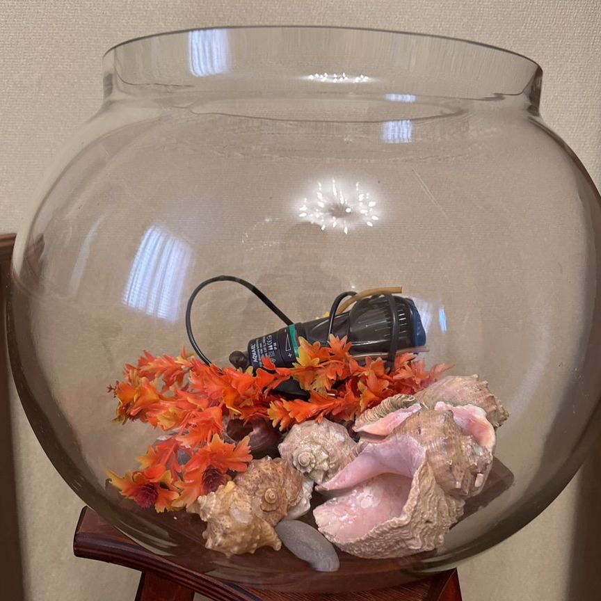 Аквариумс ракушками икислородным фильтром