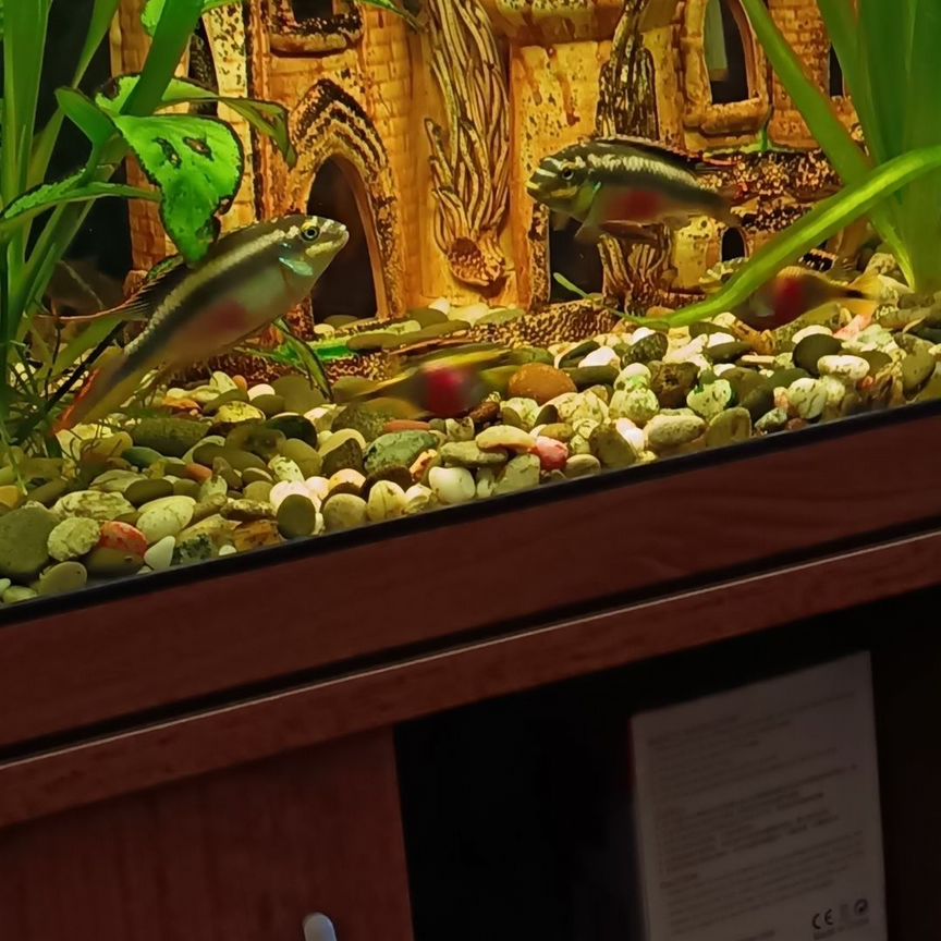 Украшение для аквариума