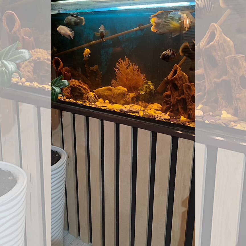 Аквариум с рыбками