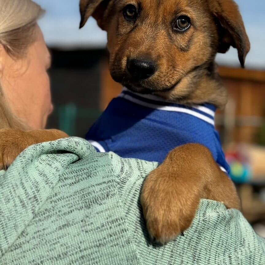 Малыш Лёвушка боится и страдает в приюте