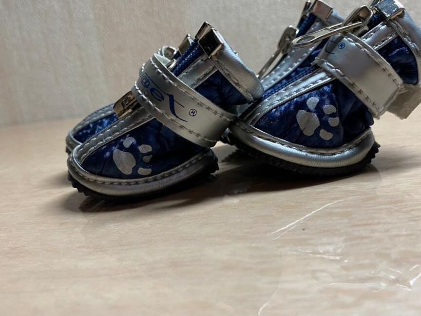 Одежда для маленьких собак