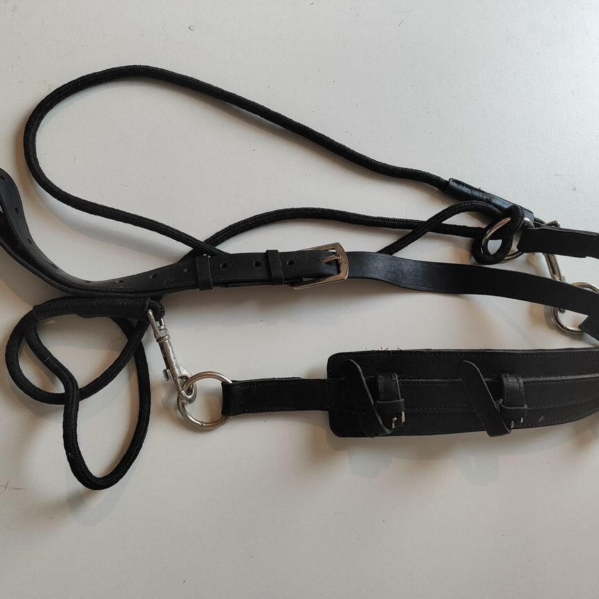 Шамбон гог для лошади