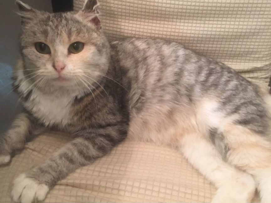 Взрослая девочка в поисках семьи