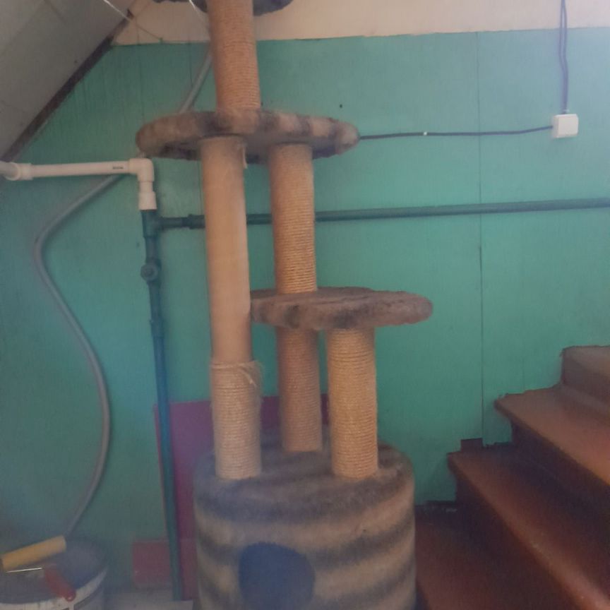 Когтеточка домик для кошки бу