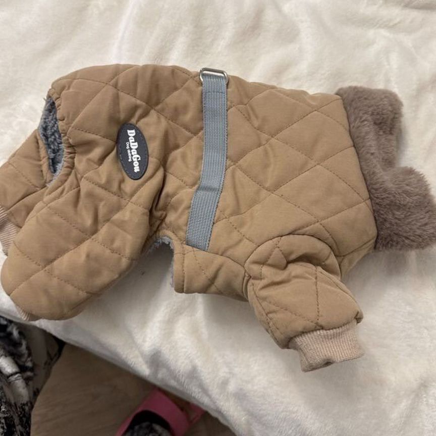 Одежда для собак