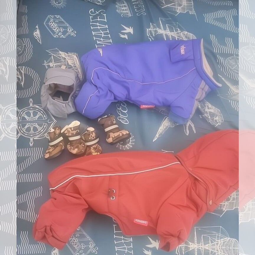 Одежда для собак