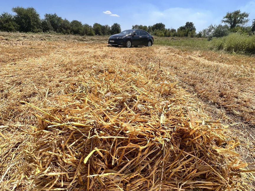 Солома ячмень с люцерной в тюках