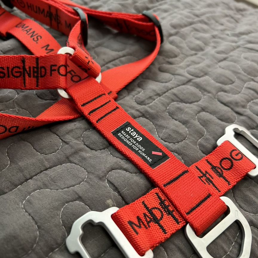 Анатомическая Шлейка Staya Mono Red (m)