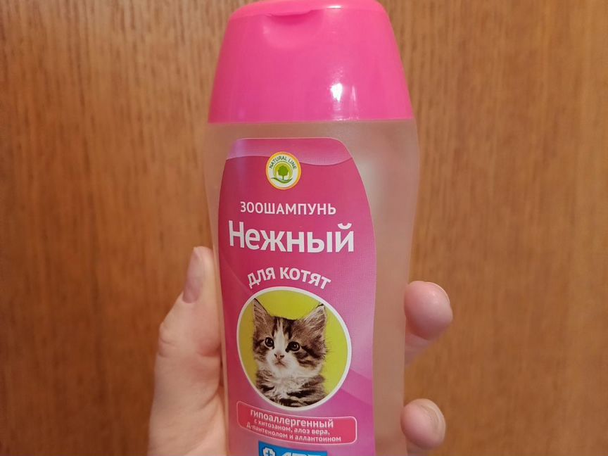 Шампунь для котят