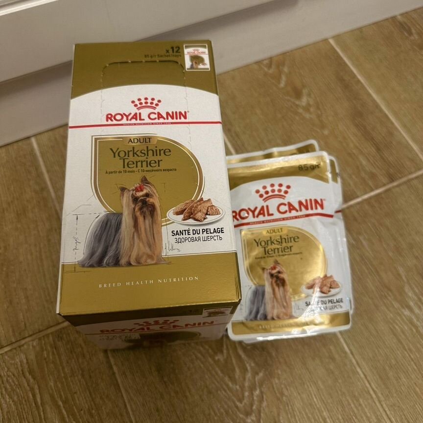 Royal canin yorkshire terrier