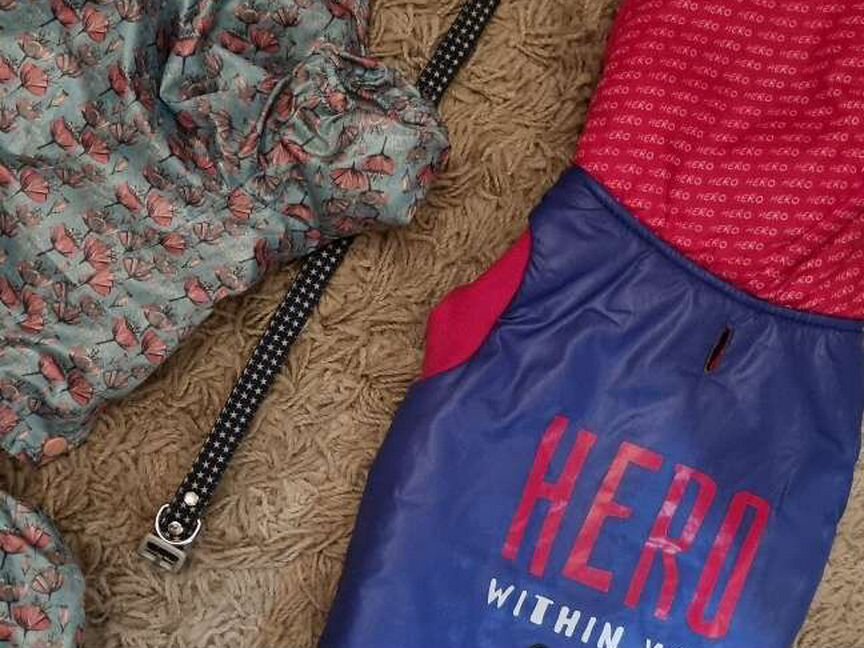 Одежда для собак