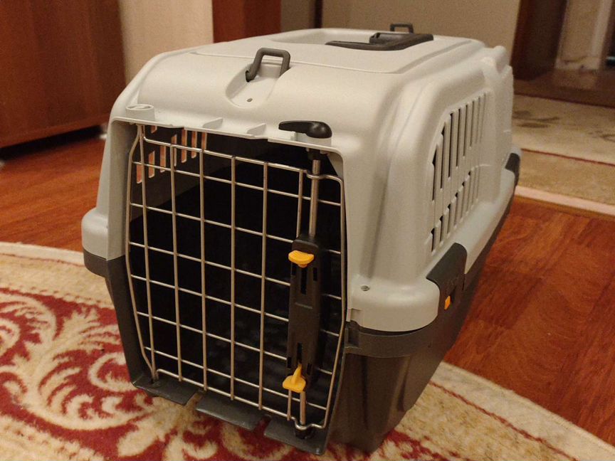 Переноска в аренду