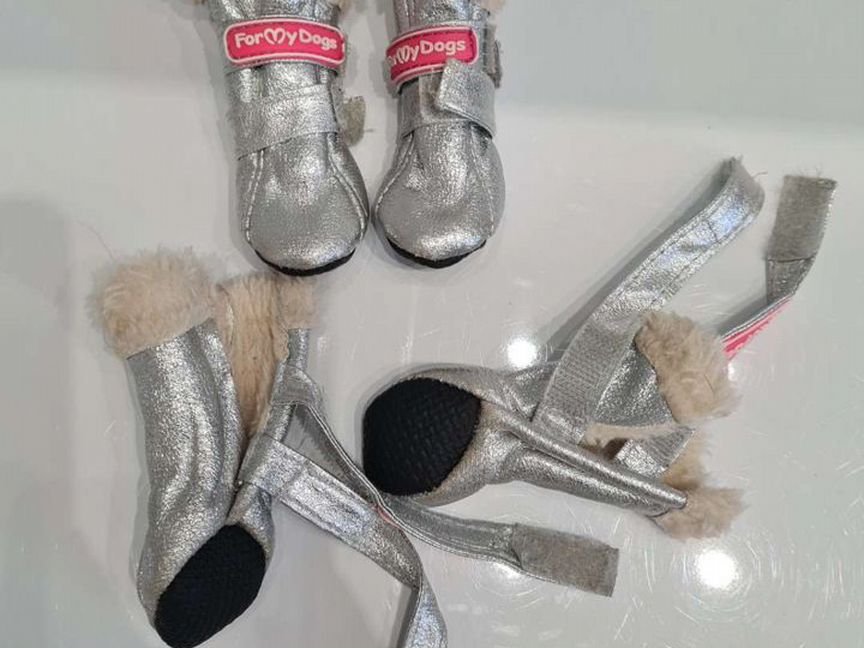 Сапоги для собак теплые, размер 1