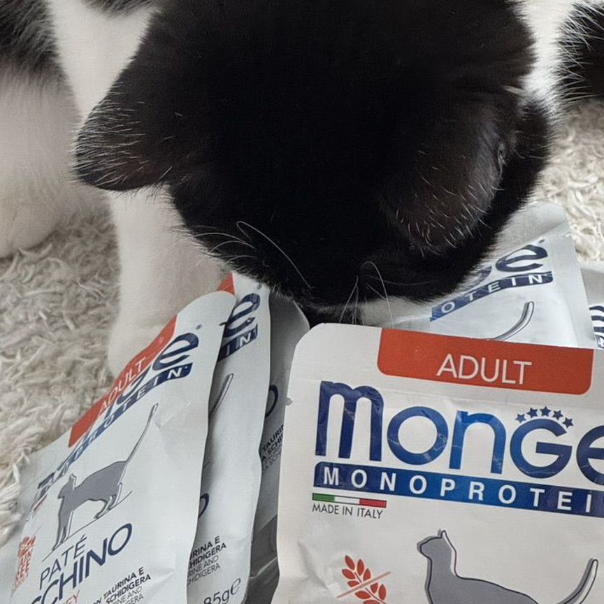 Корм для кошек Monge Monoprotein индейка