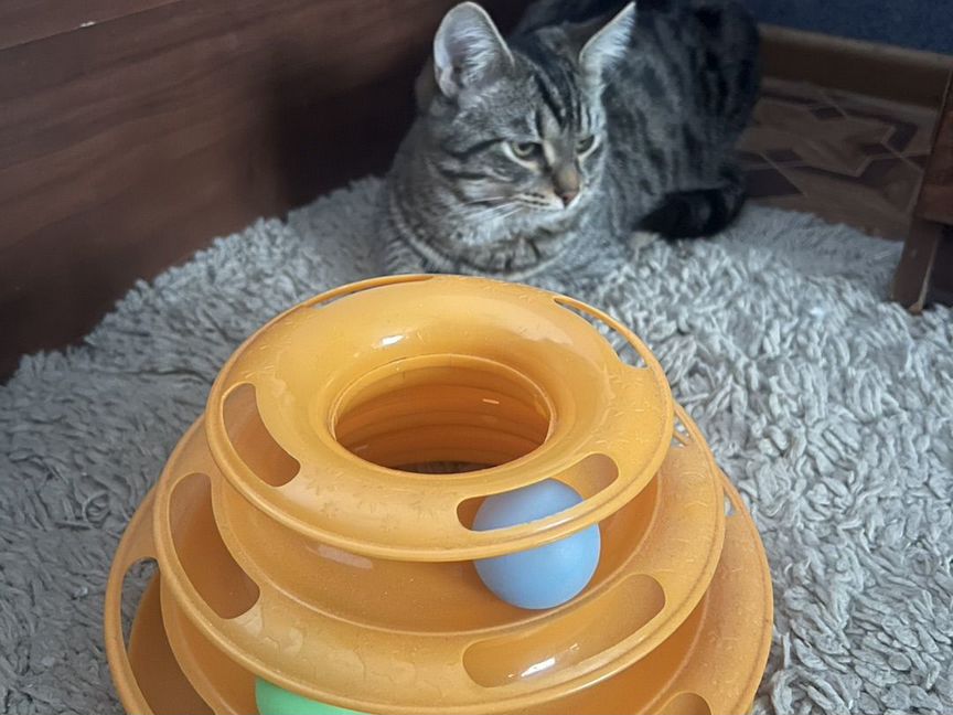 Игрушка для кота