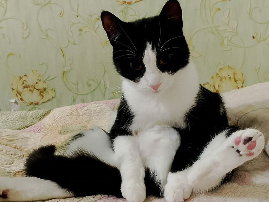 Сижу и жду. Но когда же вы меня заберете