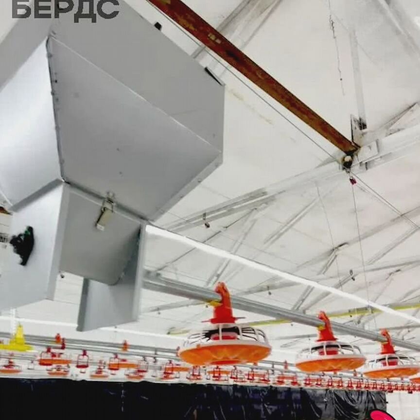 Бункер раздачи корма для птицефабрик