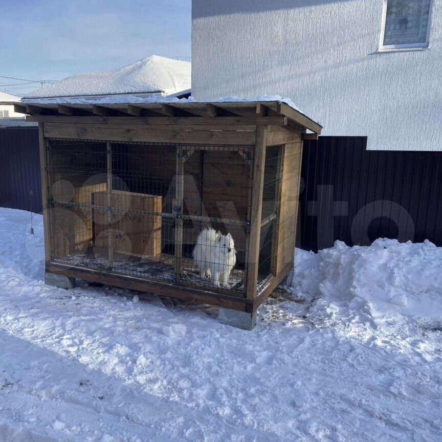 Вольер 3 на 2