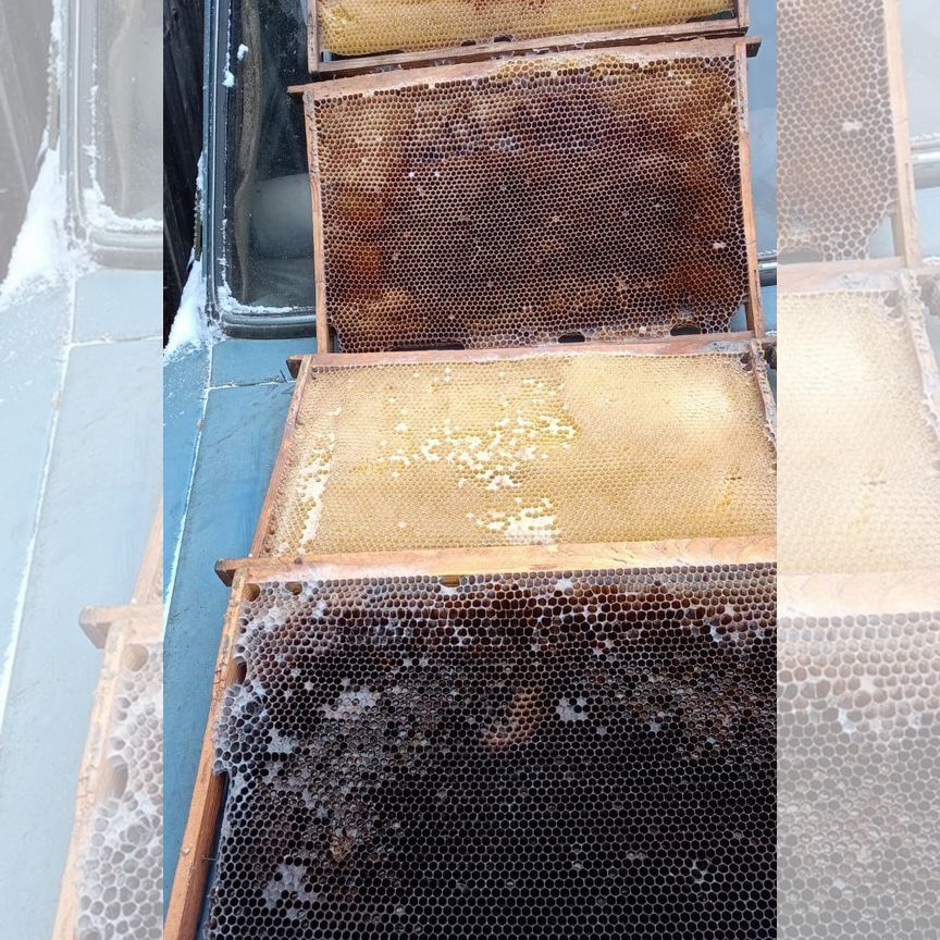 Рамка сушь для пчел