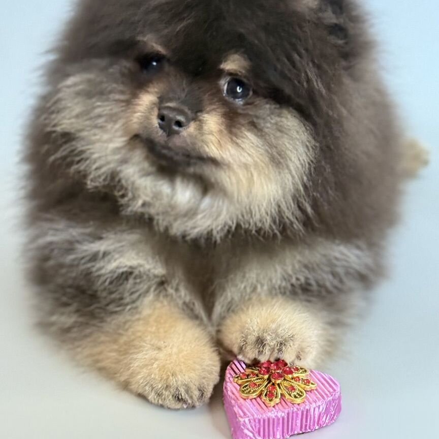 Лучший Ваш подарочек - это Я