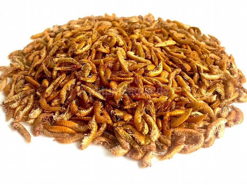 Сушёный гамарус корм