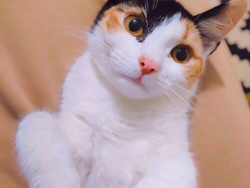 Любимая Ксюшенька