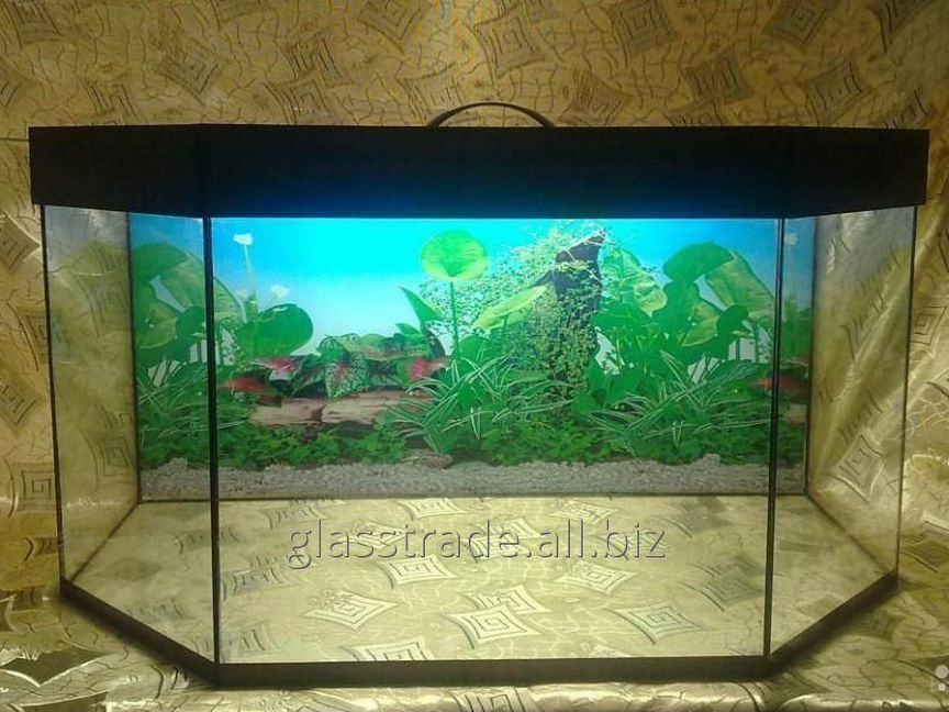 Аквариум на 200 литров