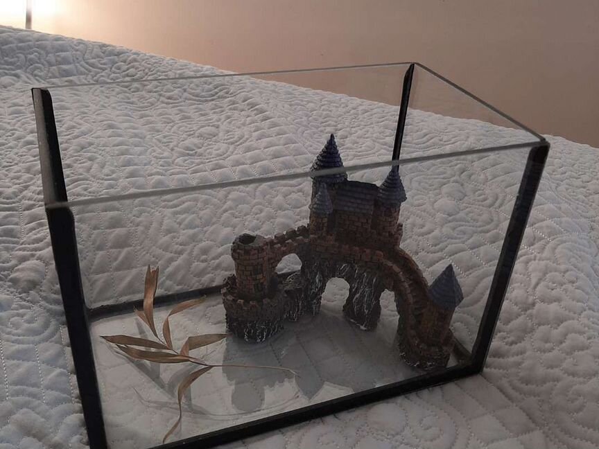 Террариум без крышки