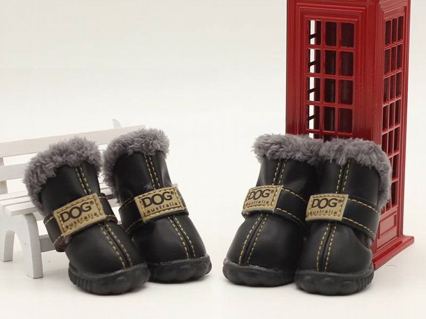 Обувь для собак