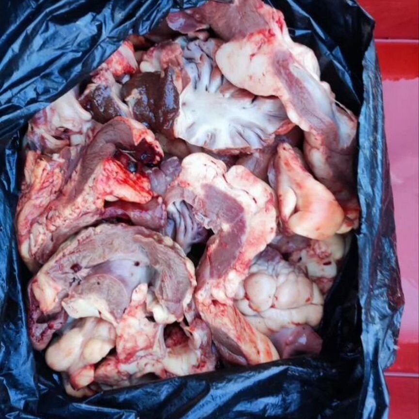 Мясо для собак