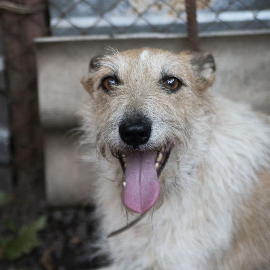 Джессика ищет дом