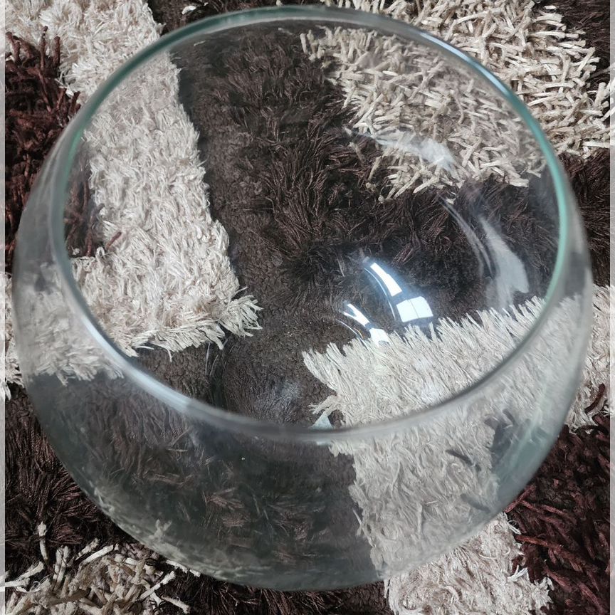 Аквариум на 4 литра