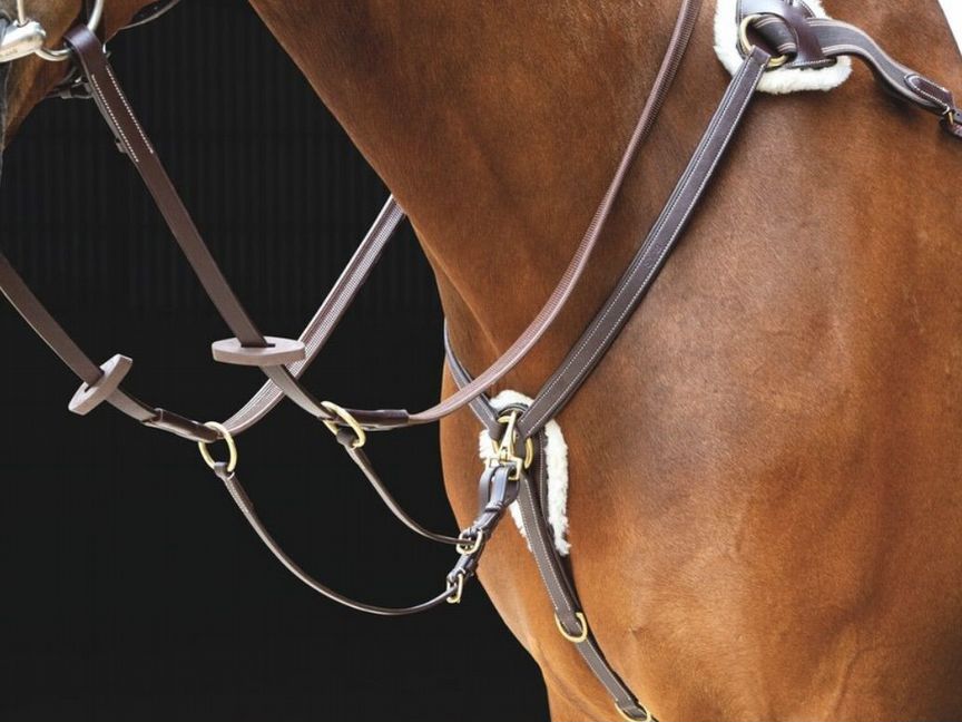 Подперсье для лошади