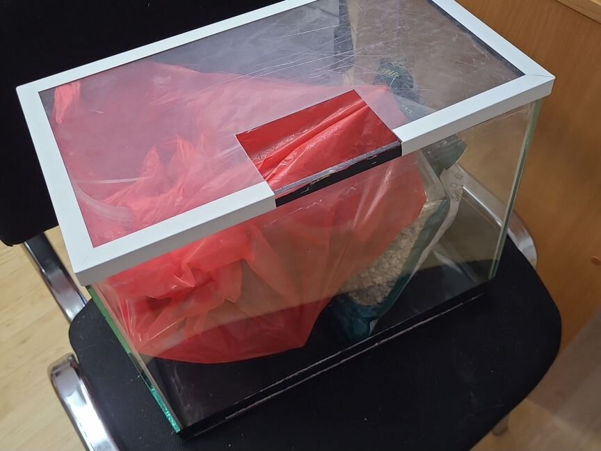 Аквариум для рыбок забронировано до 15:10