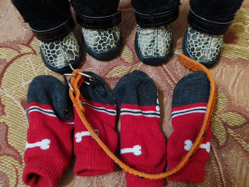 Обувь для маленьких собак