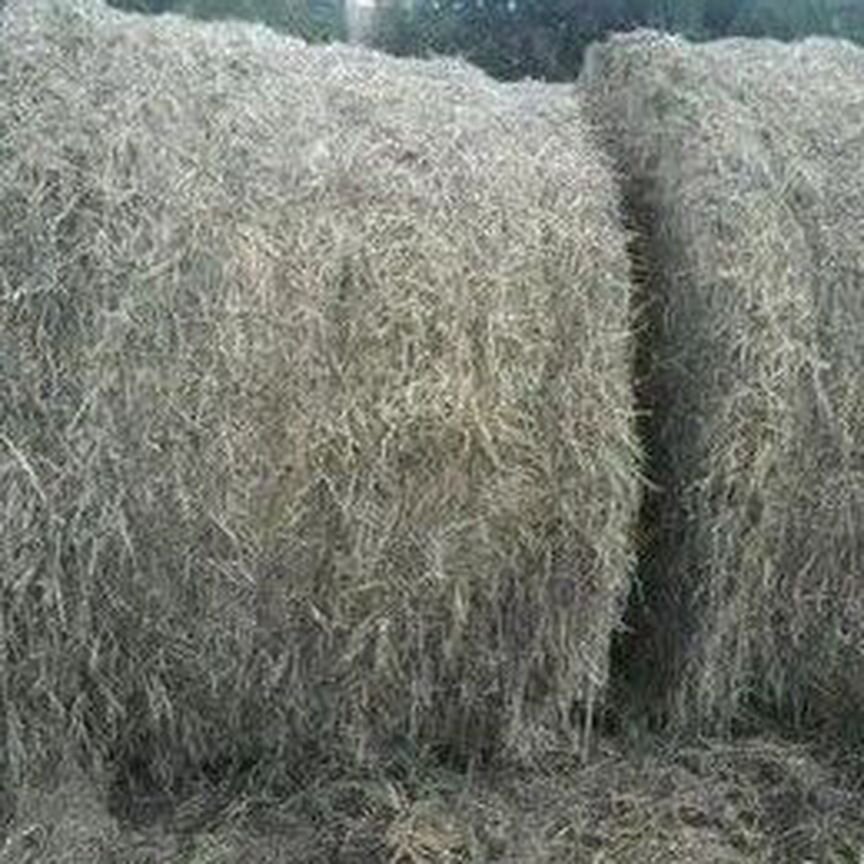 Сено в тюках