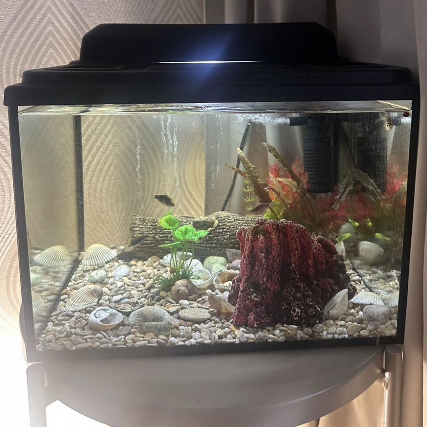 Аквариум с рыбками и фильтрами