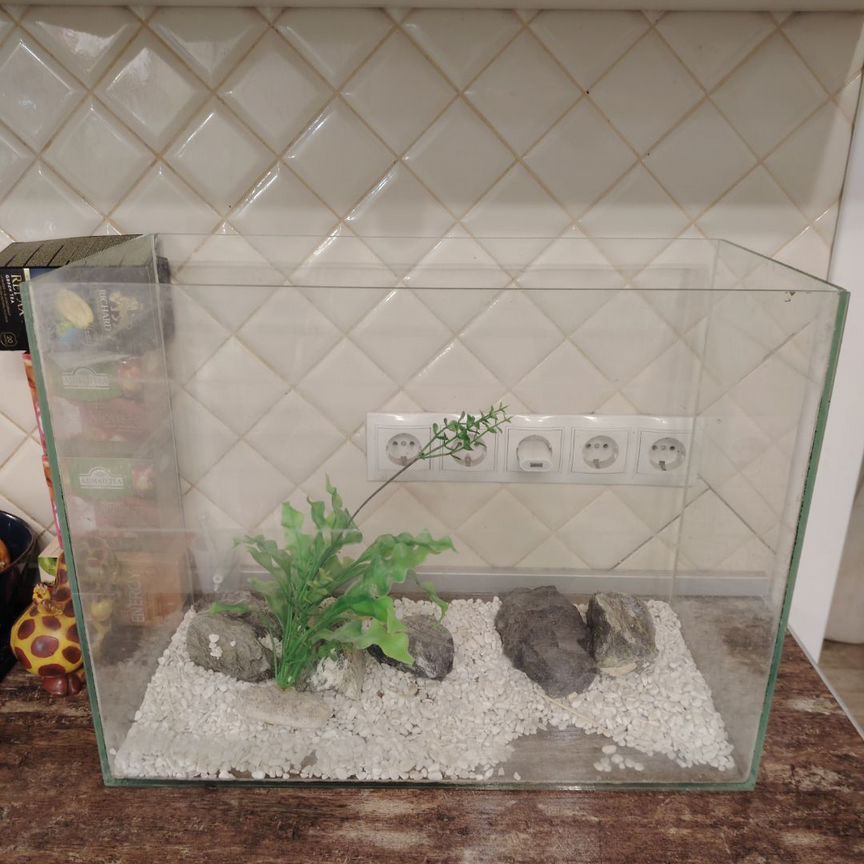 Аквариум 50 литров