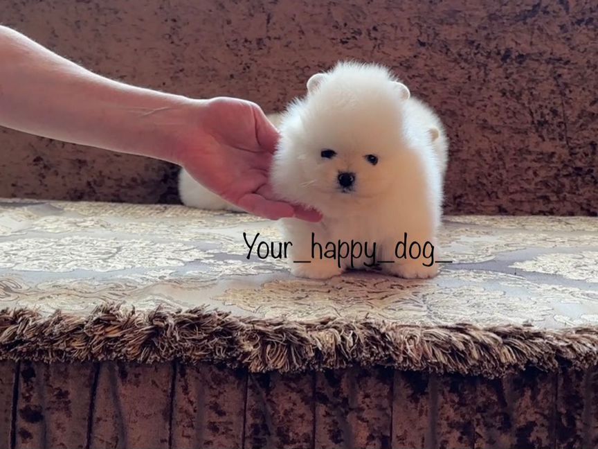 Красотулички