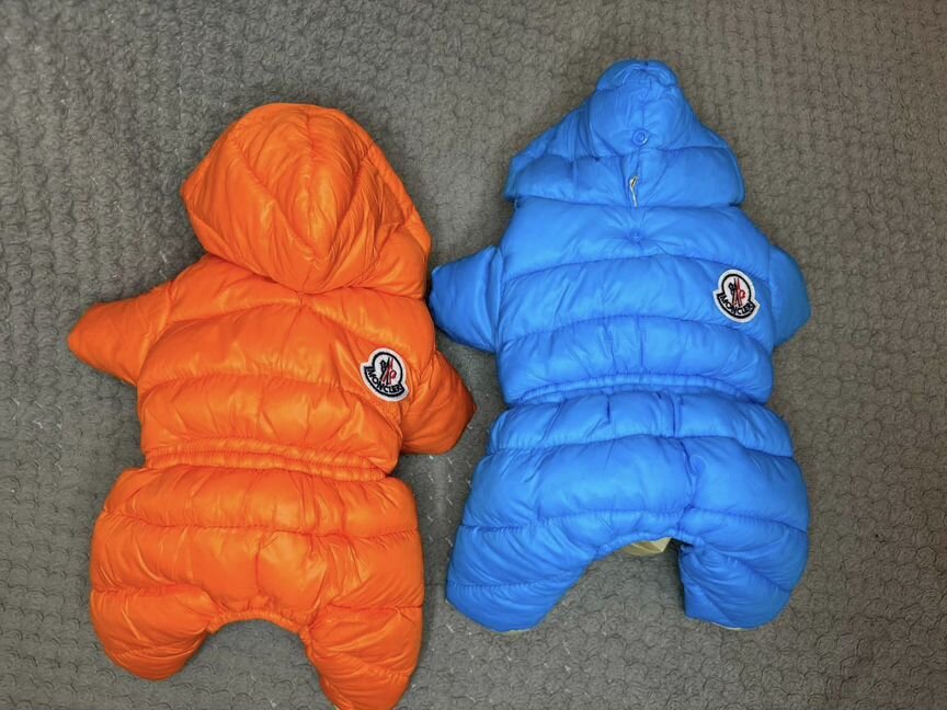Костюм для собак Moncler